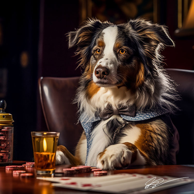 Bushranger Bankroll, Australian Shepherd artistic creations on stunning ...