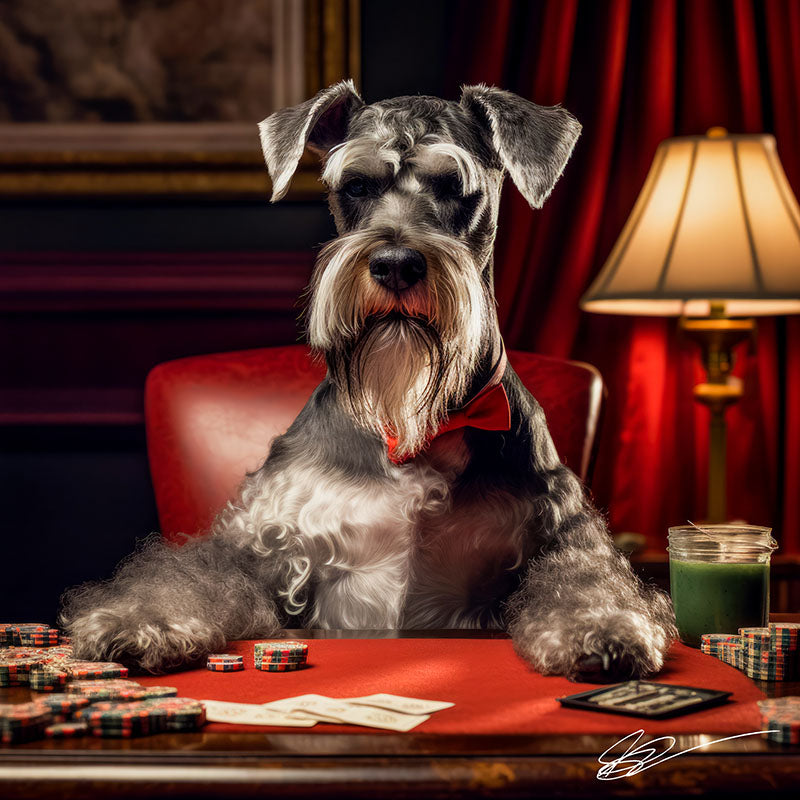 Schnauzer Shuffle