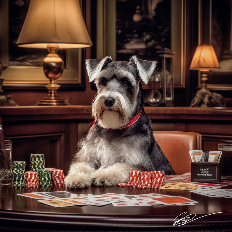 Schnauzer S Big Break Regis Galerie