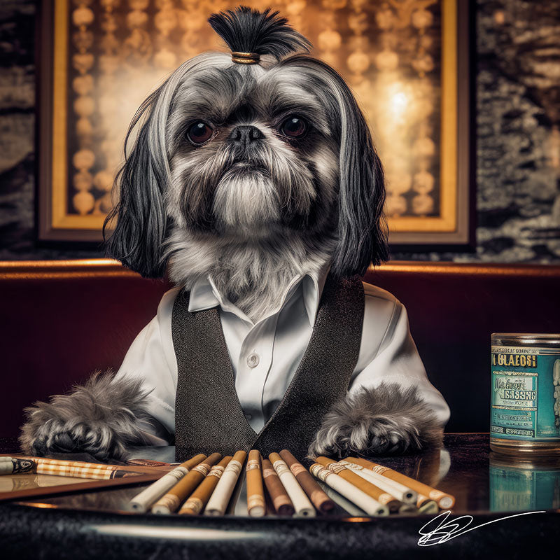 Humidor Houdini – Regis Galerie